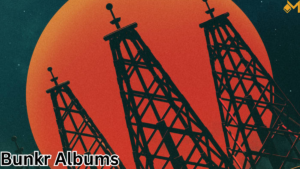 Bunkr Albums: Exploring the Music Phenomenon